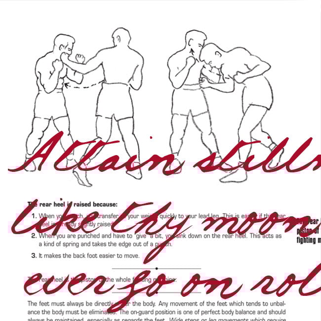 Tao of Jeet Kune Do by Bruce Lee