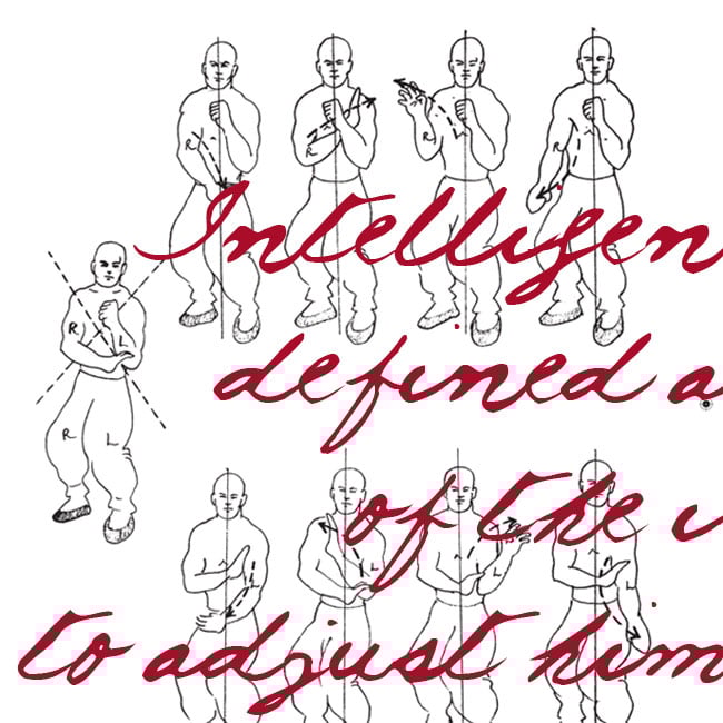 Tao of Jeet Kune Do by Bruce Lee